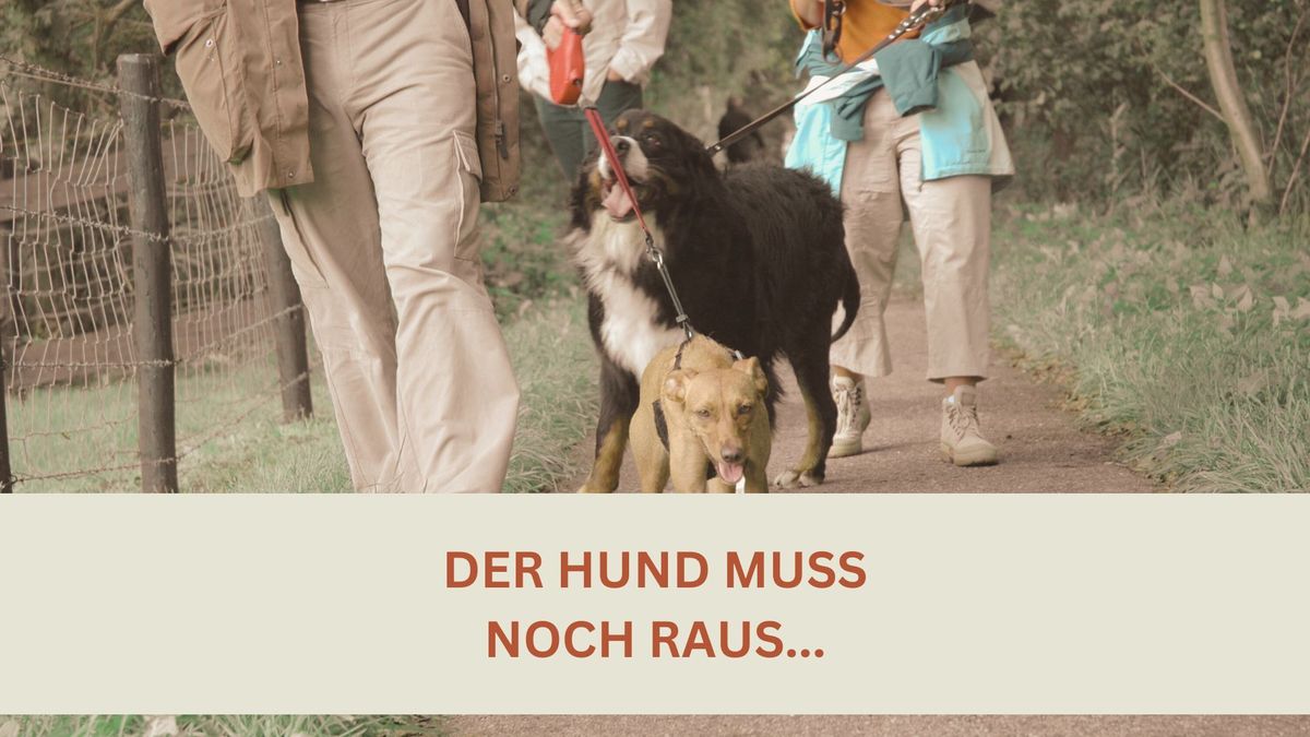 Mensch-Hund-Kommunikation, Sybille Göbel - Blog: Wie Deine Stimmung das ...